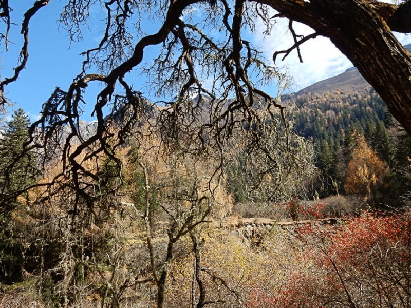 Siguniangshan, How to Visit Four Sisters Mountain | thetripgoeson