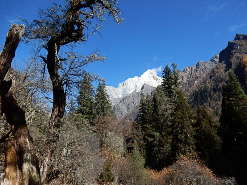 Siguniangshan, How to Visit Four Sisters Mountain - thetripgoeson