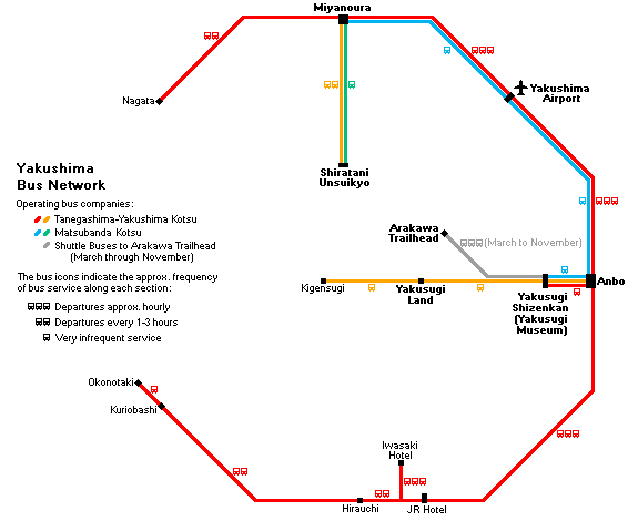 Yakushima Island - A Complete Guide