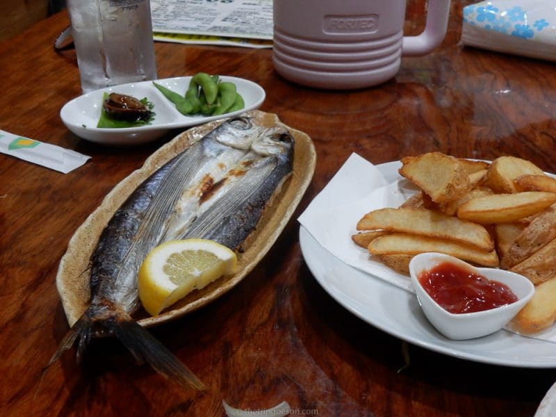 Yakushima Island - A Complete Guide