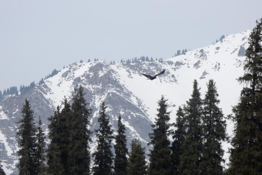 Shymbulak Mountain Resort Almaty | Kazakhstan